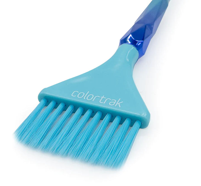 Colortrak Color Brushes Live Wire 2pk – Instant Hair & Beauty Supplies ...